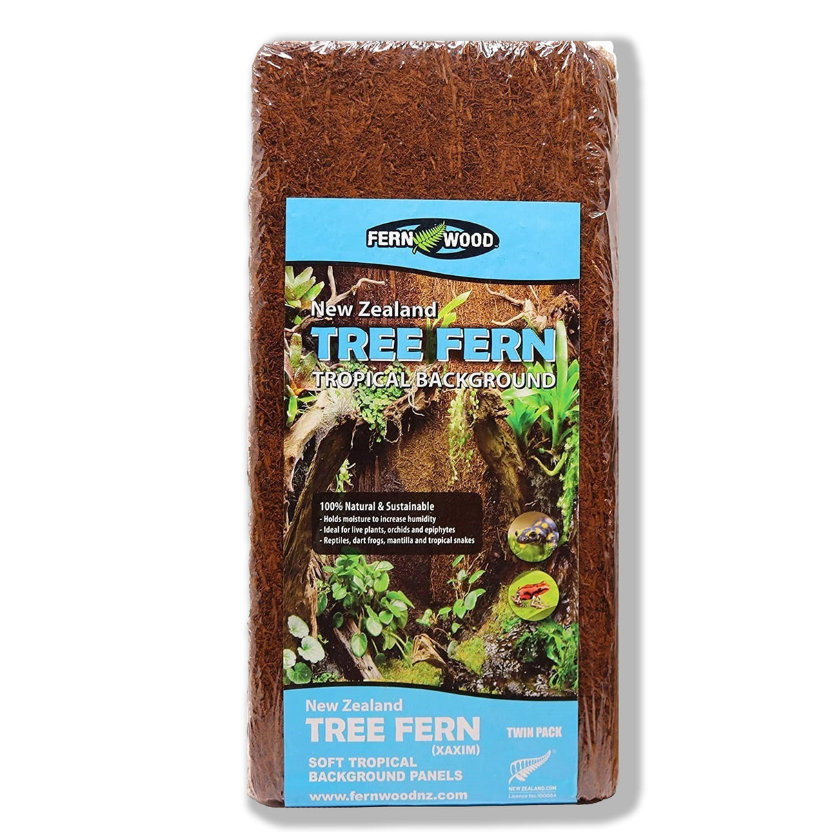 Tree Fern Boards – Itsyleaf